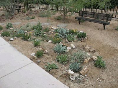 Landscape Guide